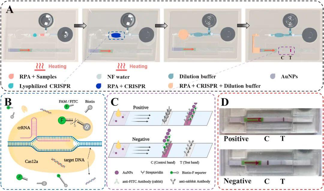 【文献】微流体POCT诊断新冠病毒 - 知乎
