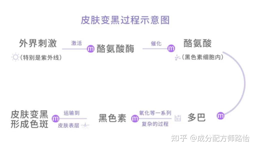 有哪些外行人眼里巨low不知名,但在内行人眼里却牛到不行的身体乳? 知乎