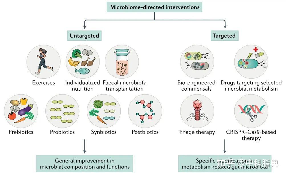 NAT REV MICROBIOL： 肠道菌群在人类代谢健康和疾病中的作用 - 知乎