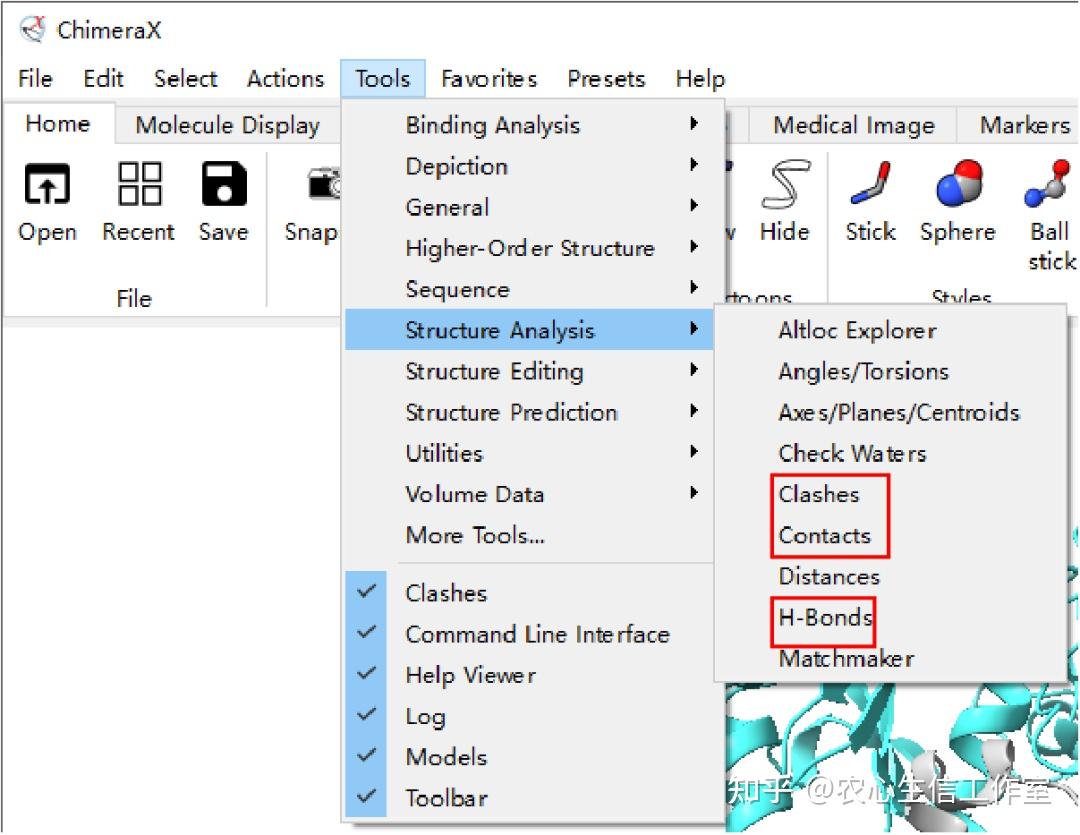 超实用！用ChimeraX对AlphaFold 结果可视化（下）: 蛋白互作界面分析 - 知乎