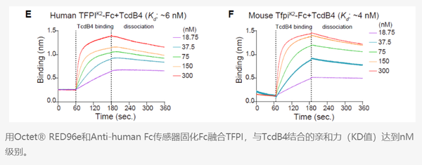 5篇CNS | Octet®第一季度国内研究成果鉴赏 - 知乎