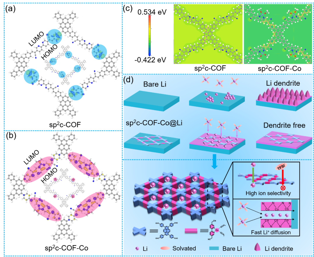 云南大学郭洪团队新突破：COFs单原子金属位点抑制锂枝晶生长的创新研究 - 知乎