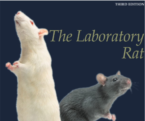 大鼠视觉和眼睛（功能解剖学与生理学） - 知乎