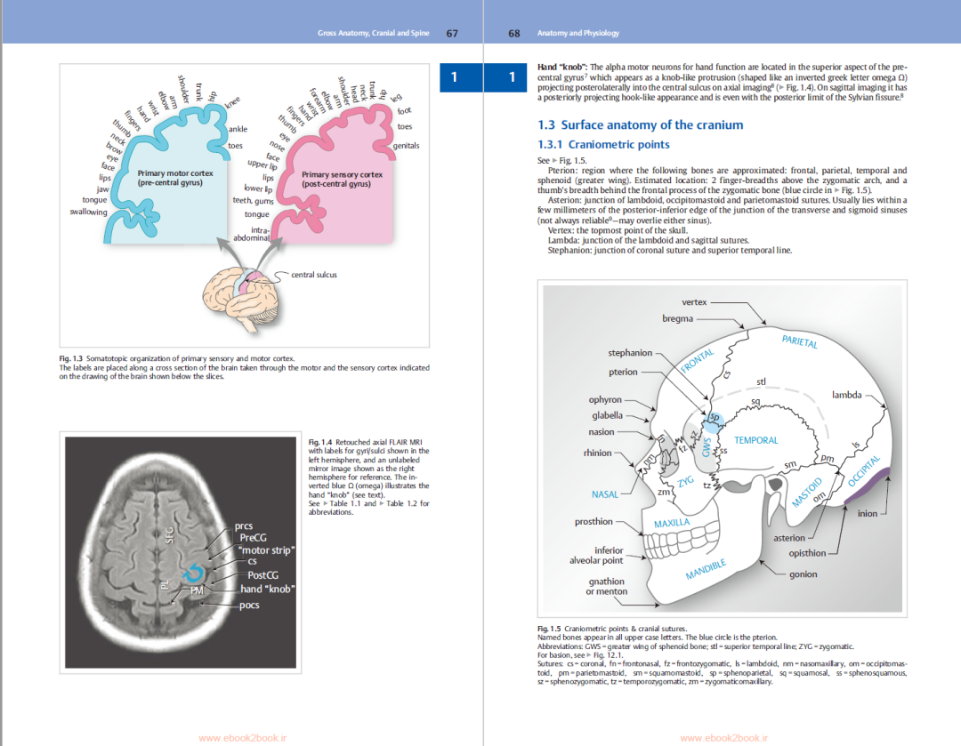 新书入库 I Handbook of Neurosurgery 9e - 知乎