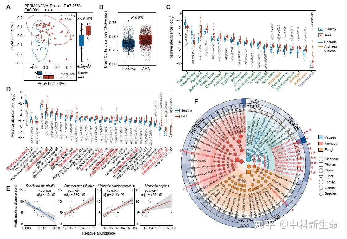 项目文章Cell Host Microbe（IF 31）| 齐鲁医院&山东省立医院利用多组学揭示肠道微生物群失调加重腹主动脉瘤 - 知乎