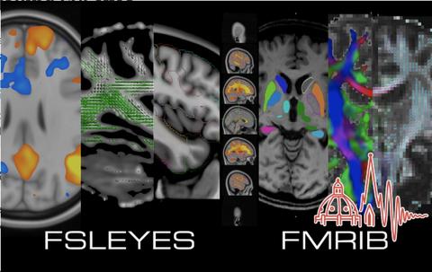fsleyes -- 一款多功能影像数据查看器 - 知乎