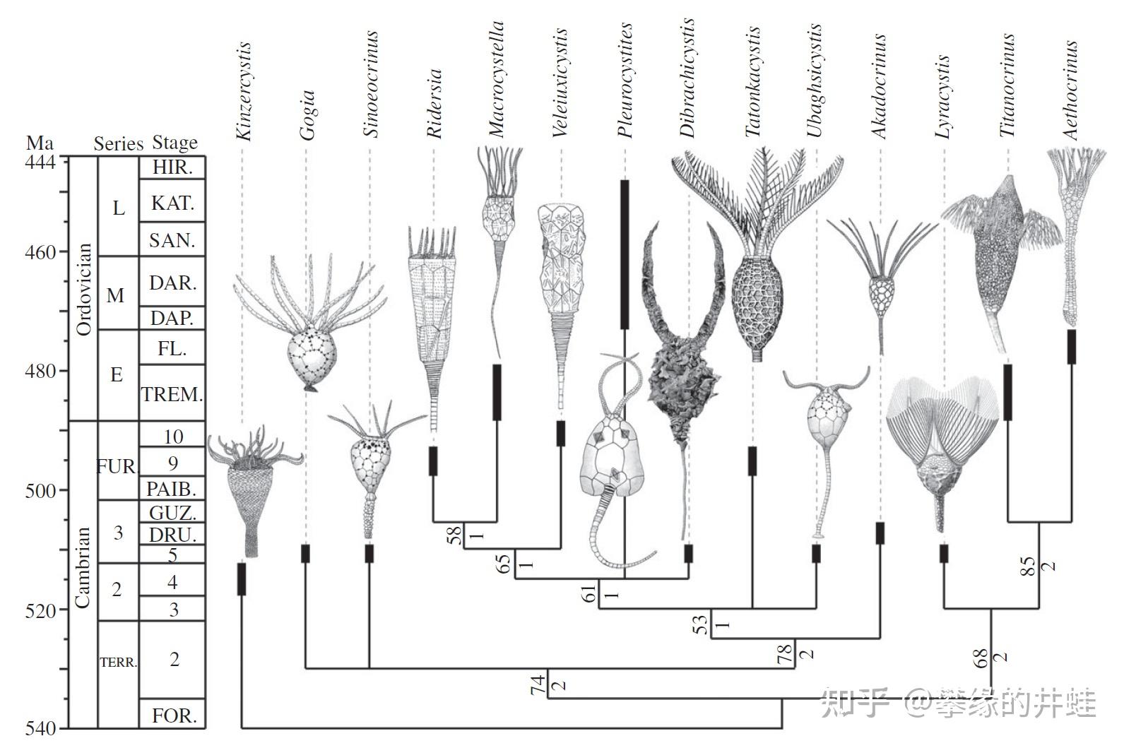 【地球演义】第二百七十四回 异界来客7：Alura Une - 知乎