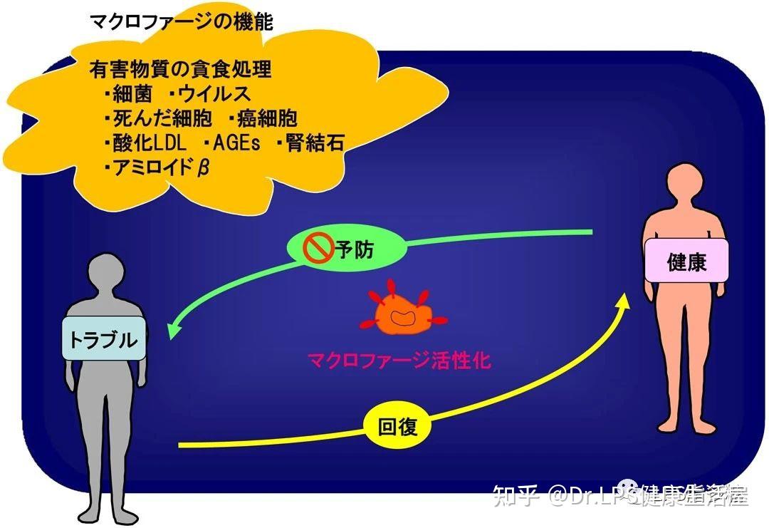 LPS脂多糖和内毒素的区别？ - 知乎