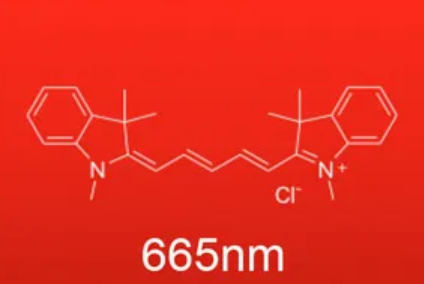 市场上有哪些常见的近红外光荧光染料？