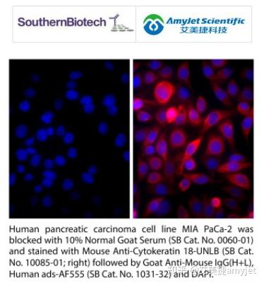 SouthernBiotech 艾美捷正常山羊血清说明书 - 知乎