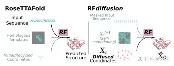 万字长文详细讲解蛋白质设计统一框架RFdiffusion - 知乎