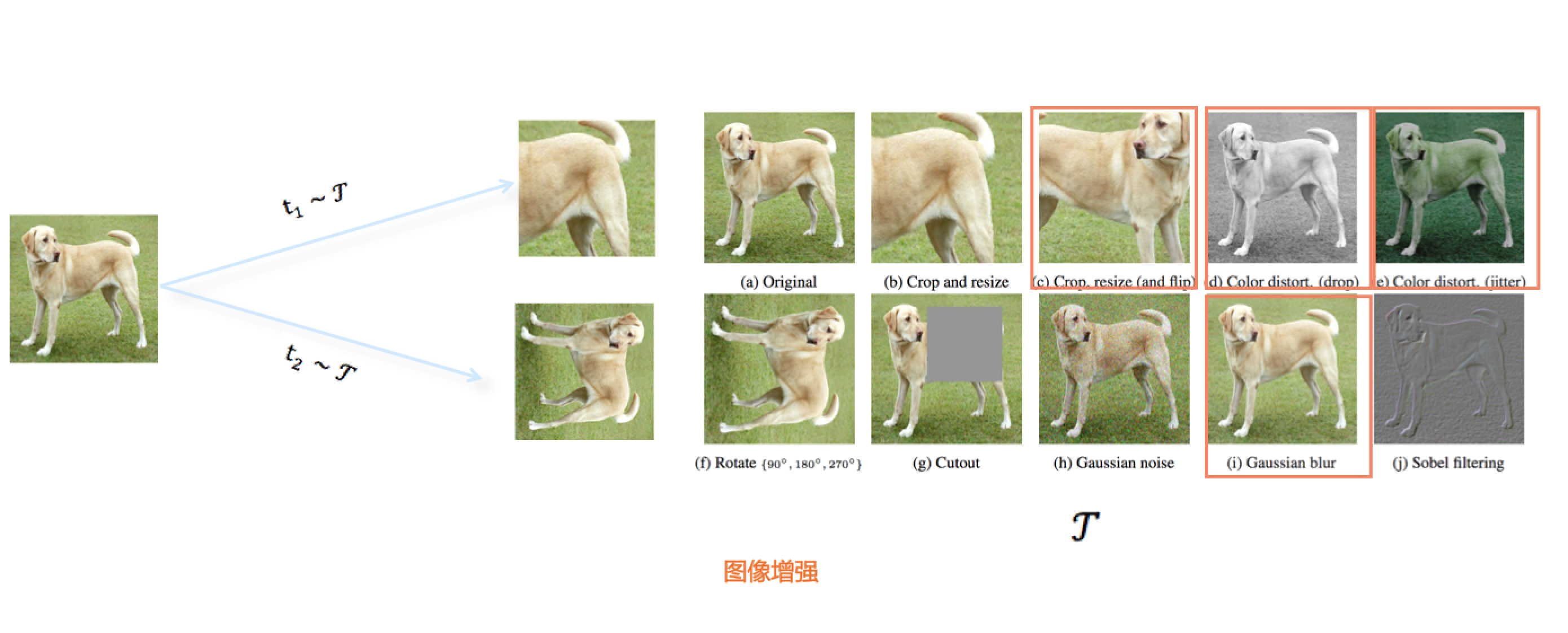 对比学习（Contrastive Learning）:研究进展精要 - 知乎