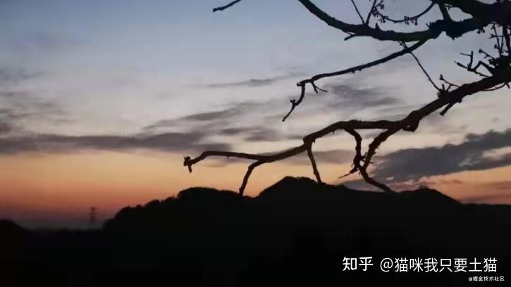 这是一篇写给初学者的 React 学习建议 知乎 