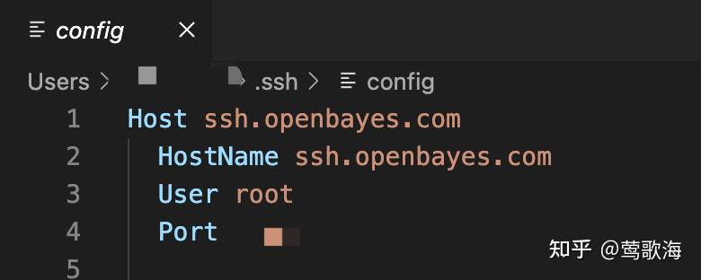 云算力平台 OpenBayes 使用入门（2）——SSH远程连接 - 知乎