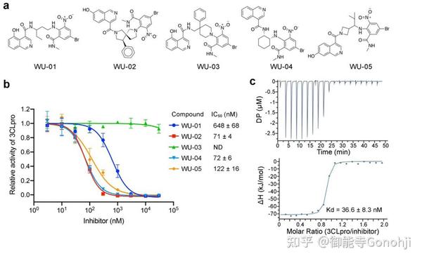 高效SARS-CoV-2 3CLpro非共价抑制剂的开发——中国自主研发新冠药物的发展历程 - 知乎