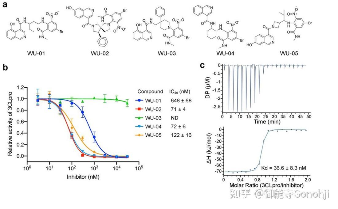 高效SARS-CoV-2 3CLpro非共价抑制剂的开发——中国自主研发新冠药物的发展历程 - 知乎