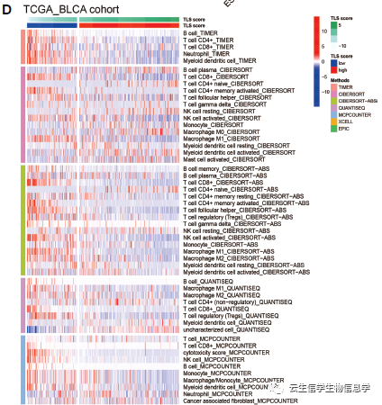 三级淋巴结构TLS生信又出新番——肿瘤二次聚类分型+预后模型构建思路直取 8分+，送上TLS基因集，换个癌种反手又是一篇！ - 知乎