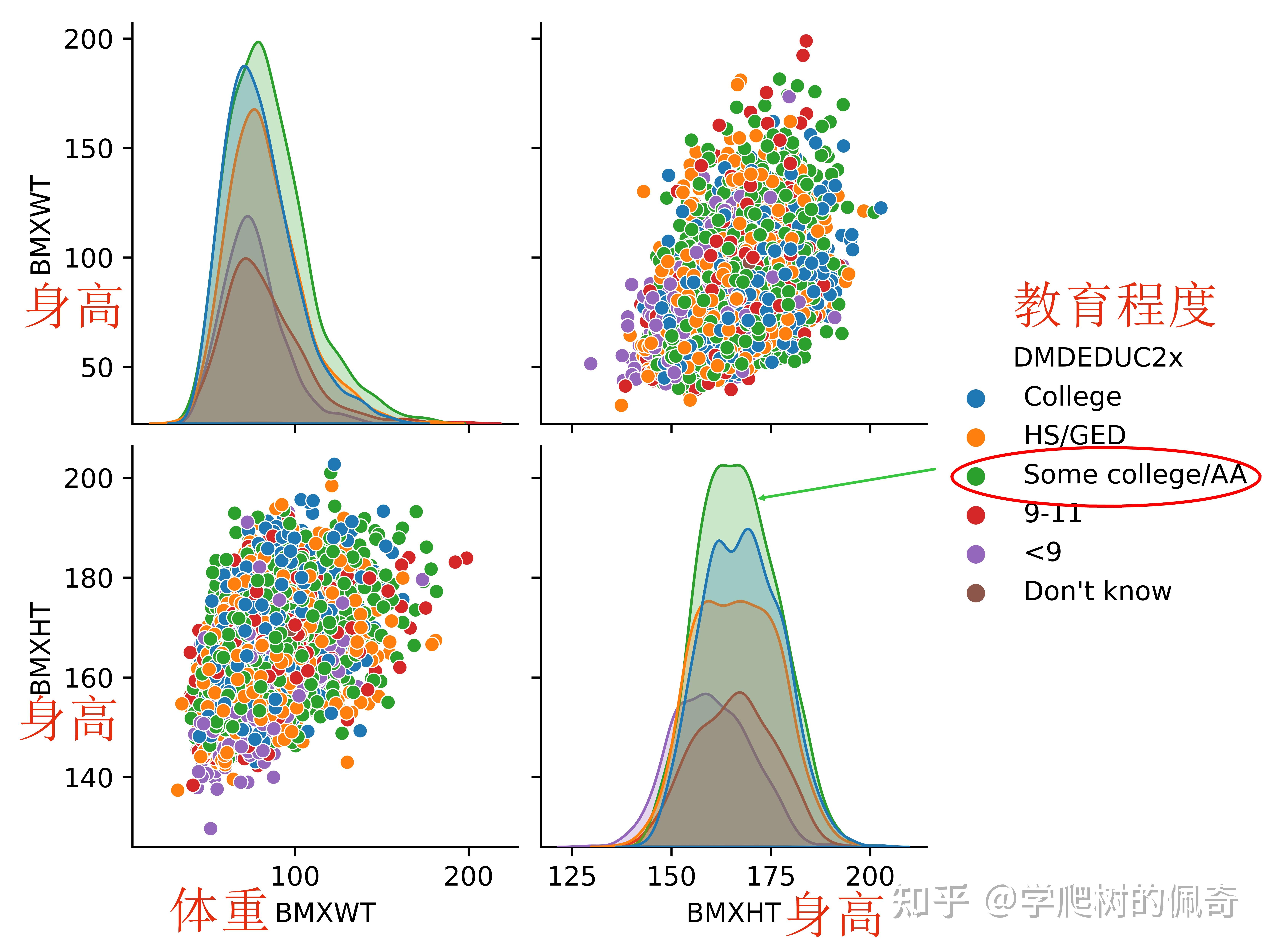 NHANES数据库练手DAY5（身高、体重与BMI） - 知乎