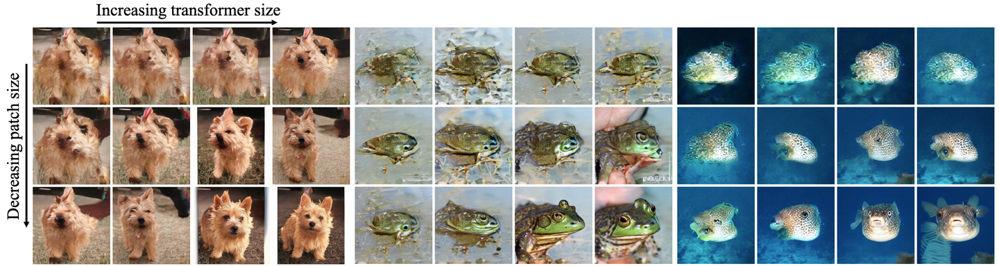 64. Sora 基础工作之 DiT: transformer 结合 diffusion 经典之作 - 知乎