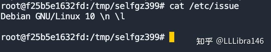 天融信的TopSAP软件在Debian下安装失败 - 知乎