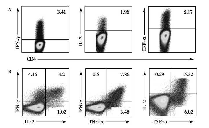 流式细胞术对Th1和Th2细胞数量及功能的分析 - 知乎