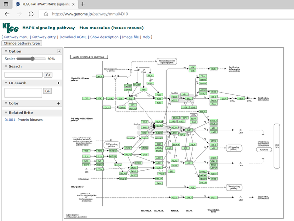 手把手教你给KEGG pathway图标注颜色 - 知乎