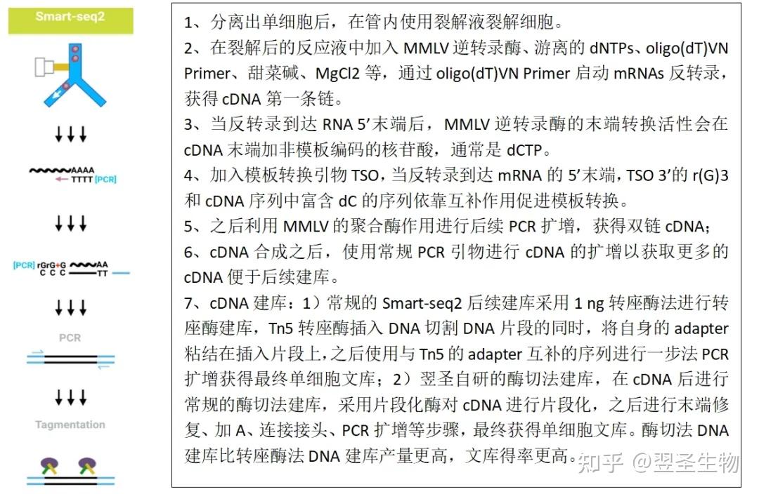 Smart-seq2：单个细胞以及微量细胞转录组建库成功的保障 - 知乎
