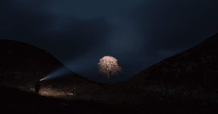 HelloGitHub 社区动态，开启新的篇章！ - 知乎