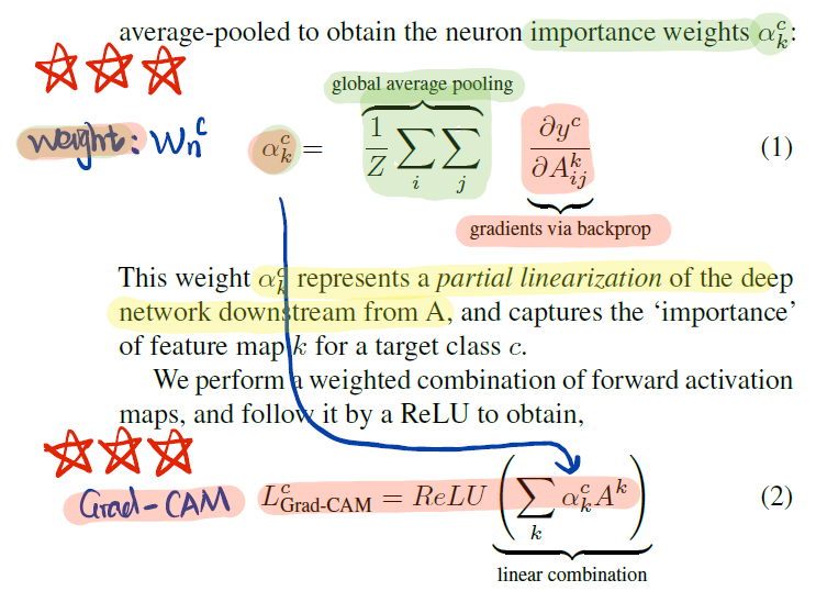 可解释机器学习：Grad-CAM - 知乎