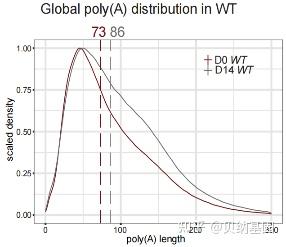 Poly(A)长度检测和定量解决方案——TAIL Iso-seq - 知乎
