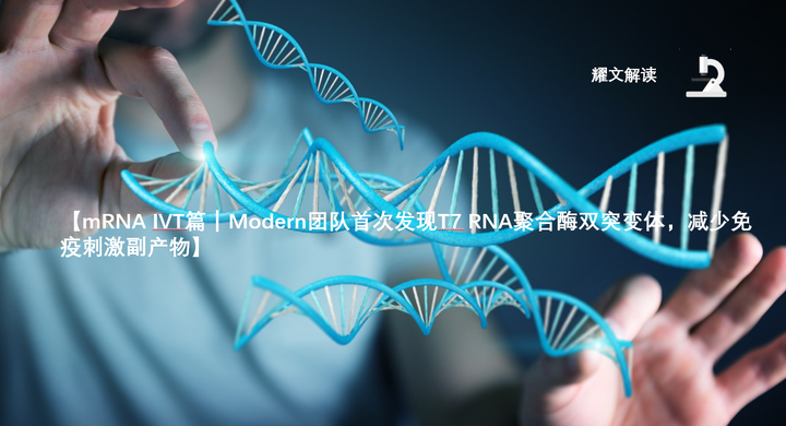 【耀文解读】mRNA IVT篇︱Modern团队首次发现T7 RNA聚合酶双突变体，减少免疫刺激副产物 - 知乎