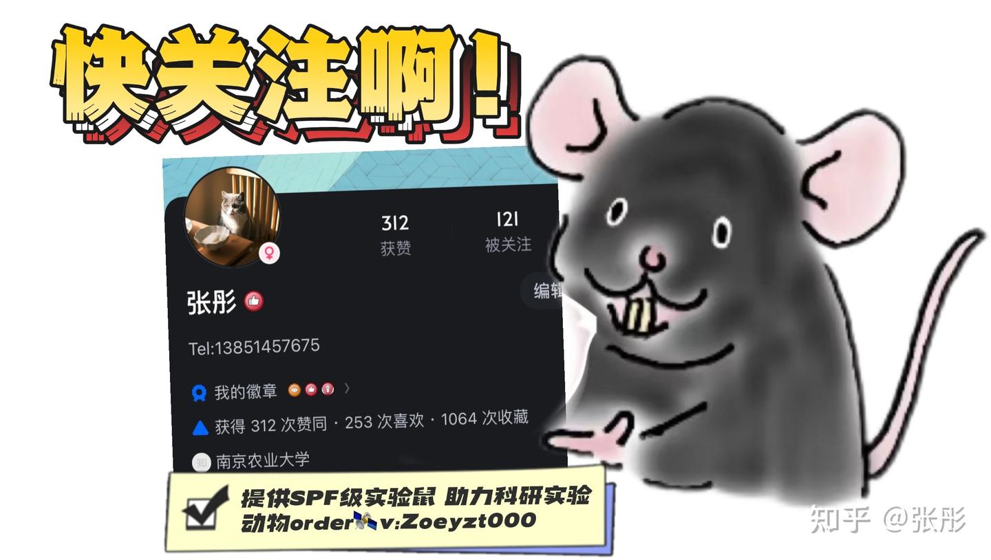 BALB/c Mice | BALB/c小鼠最全知识资料 - 知乎