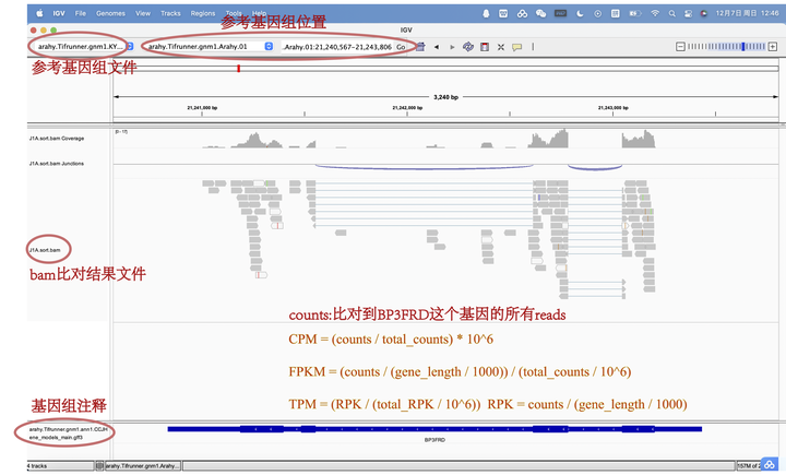转录组计数中counts，CPM，FPKM和TPM的区别 - 知乎
