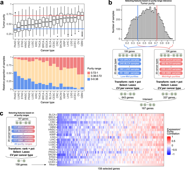 Commun Biol | 跨越20种癌症类型！基于基因表达谱精确预测泛癌肿瘤纯度的新方法——PUREE - 知乎