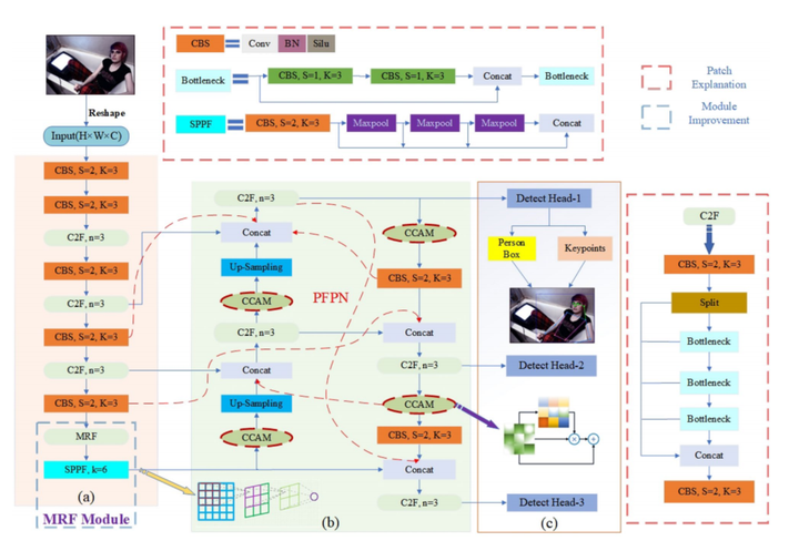 An enhanced real-time human pose estimation method based on modified YOLOv8 framework - 知乎