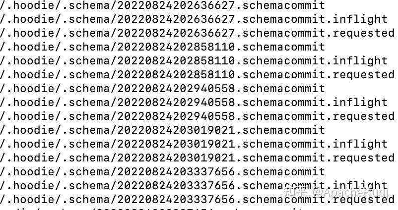 硬核！Apache Hudi Schema演变深度分析与应用 - 知乎