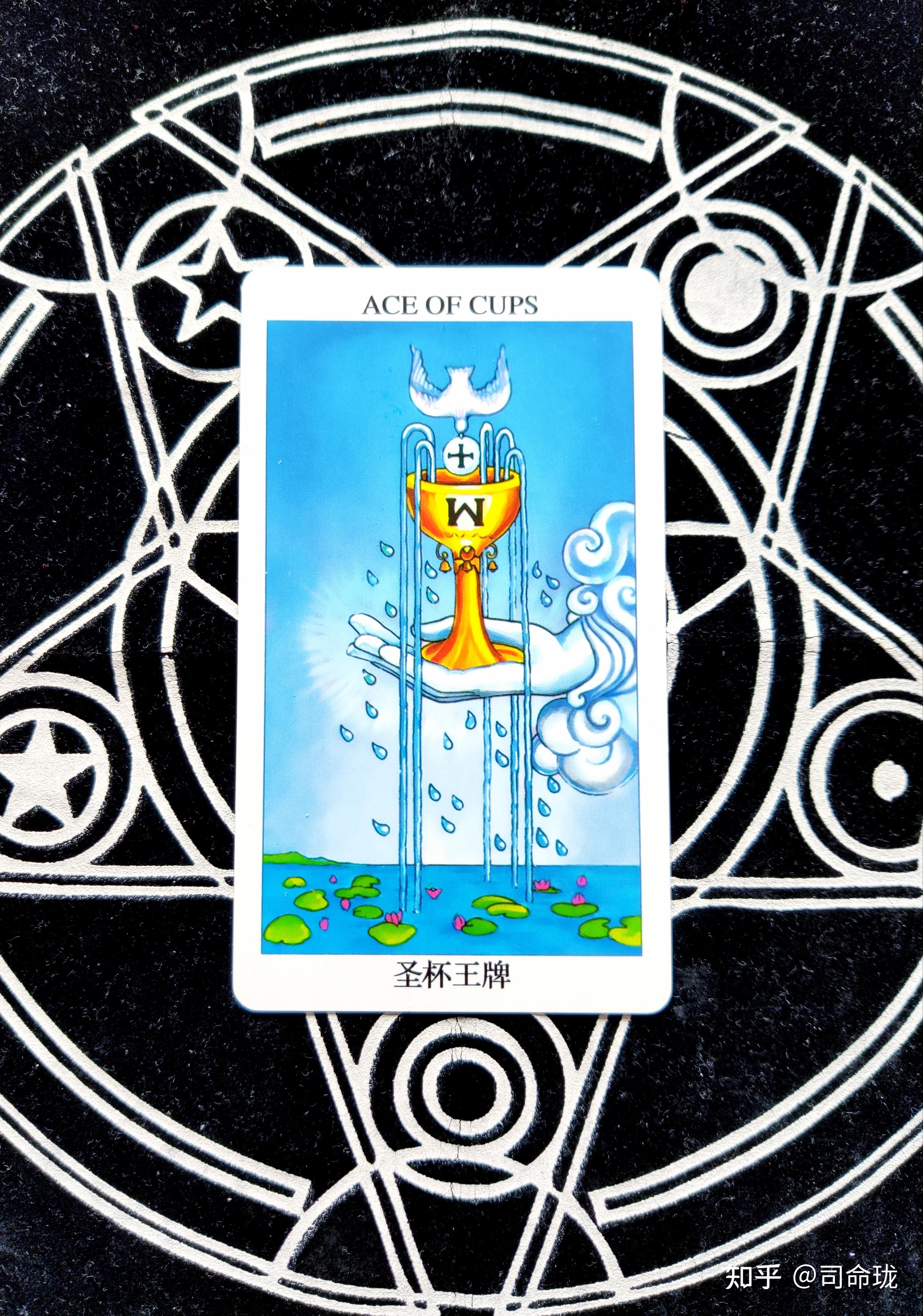 【圣杯组小牌】圣杯王牌 - 知乎