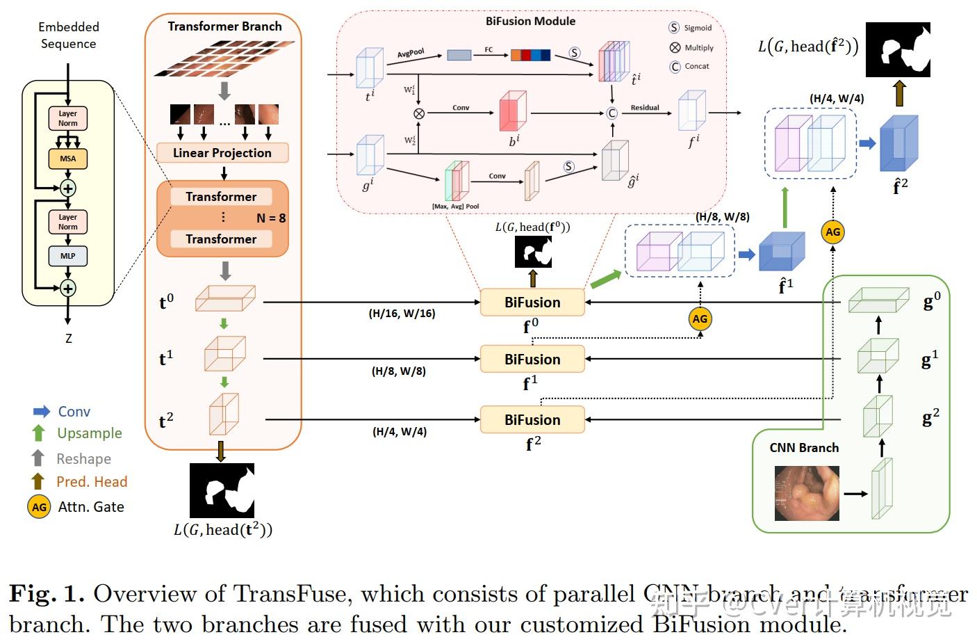 TransFuse：融合Transformers和CNN用于医学图像分割 - 知乎