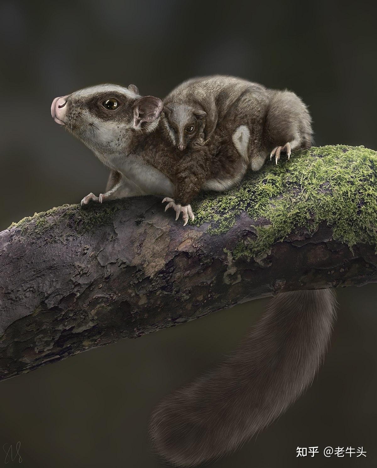 仅从长相来看，哪些古生物会很容易被当成「现代生物」？ - 知乎