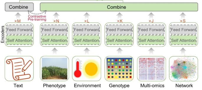 Mol Plant | 华中农业大学领衔倡导CropGPT作物智能育种新模式 - 知乎