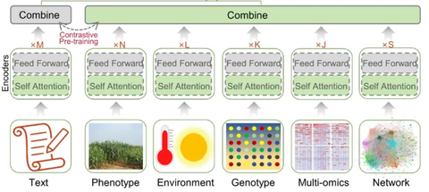 Mol Plant | 华中农业大学领衔倡导CropGPT作物智能育种新模式 - 知乎