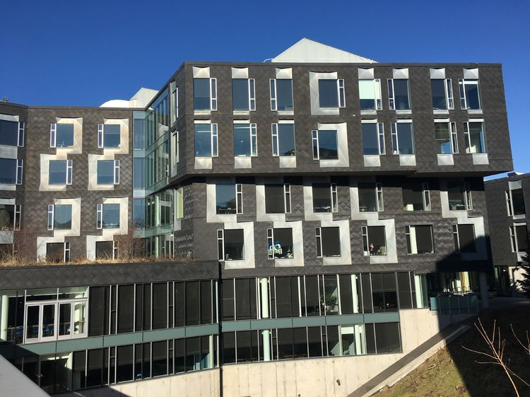 在卡内基梅隆（CMU）念本科是什么样的体验？ - 知乎