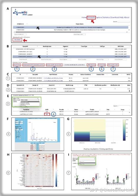 数据库介绍 | 系统 MHC 地图 v2.0，一个更新的资源，用于基于质谱的免疫肽组学 - 知乎