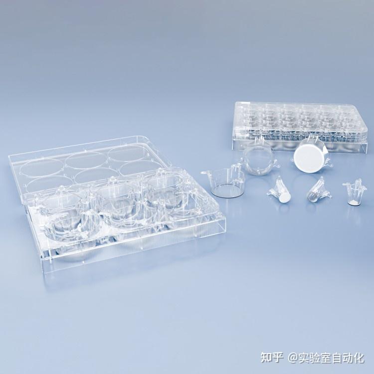 SABEU的cellQART细胞培养小室-兼容locsense 和cellZscope 跨膜电阻分析仪 - 知乎