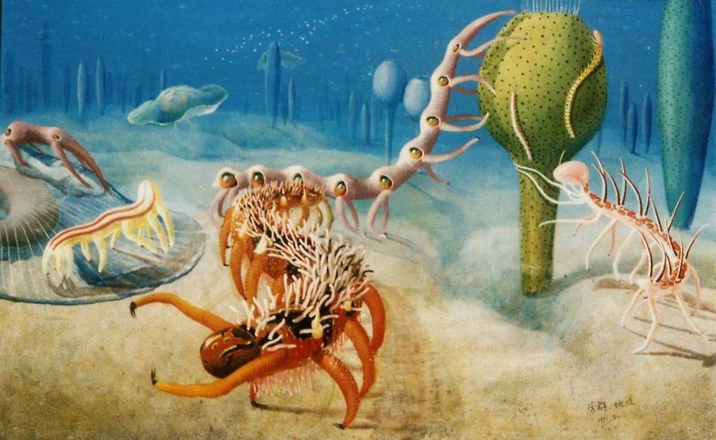 盘点中国著名的古生物化石群 - 知乎