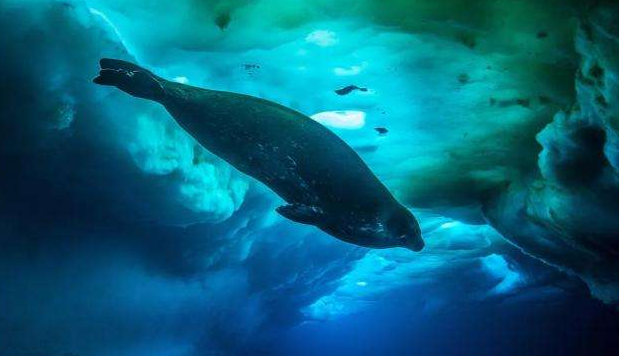 从入门DeepWalk到实践Node2vec - 知乎