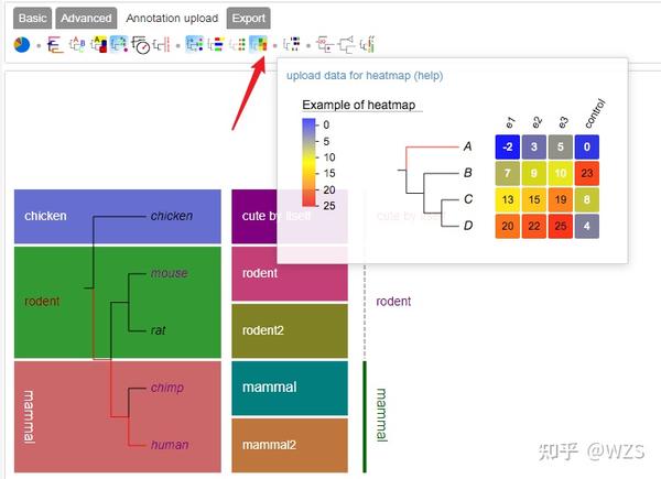 进化树美化——evolview基本命令速查与教程 - 知乎