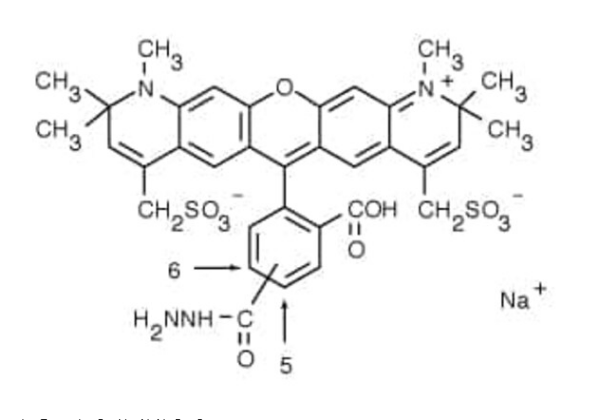 AF 594 hydrazide，Alexa Fluor 594 酰肼用于生物分子的荧光标记 - 知乎