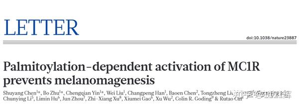 波士顿大学医学院崔儒涛团队揭示MC1R的棕榈酰化依赖性活化可防止黑色素瘤生成的作用机制 - 知乎