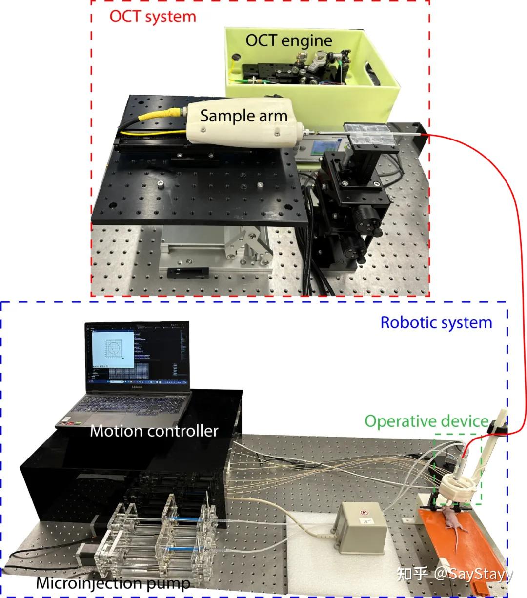 Adv. Intell. Syst.|香港中文大学袁武/任洪亮教授团队最新研究：头戴式神经OCT内窥镜 - 知乎